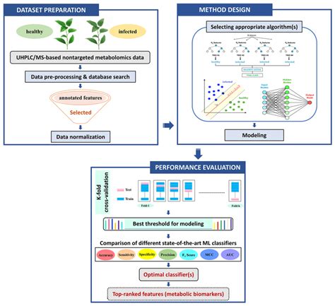 Schematic Workflow Of Multiple Machine Learning Ml Modeling Combined