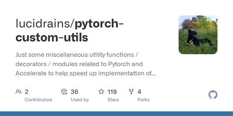 Github Lucidrainspytorch Custom Utils Just Some Miscellaneous