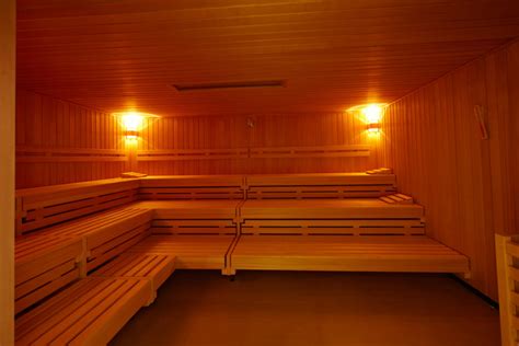 Profi Sauna - Grischa Wellness