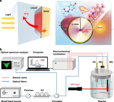 光电催化反应过程中纳米级和快速温度变化的操作光纤监测 Light Science Applications X MOL