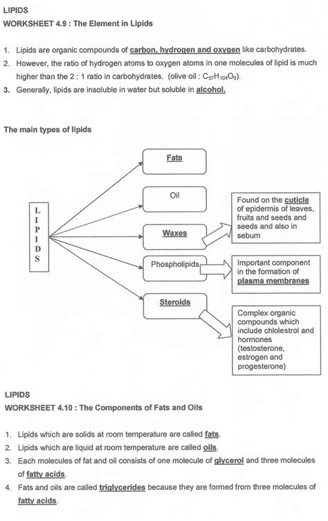 biology form 4 chapter 4 module s answer