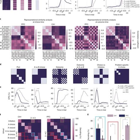 example neurons in physical space and behavioral task a example pfc