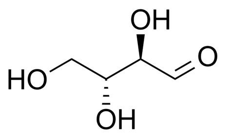 Eritrosa Características Estructura Funciones