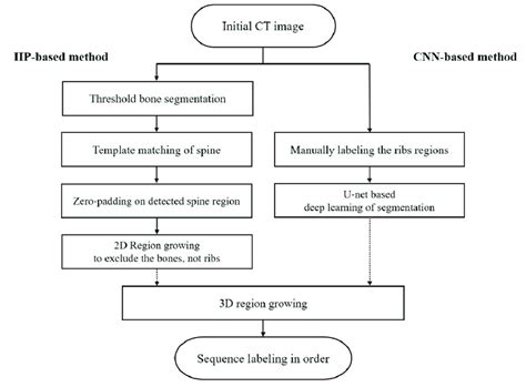 flowchart of rib sequence labeling processes using iip based method and