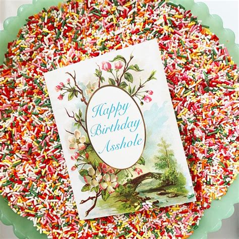 Happy Birthday Asshole Etsy