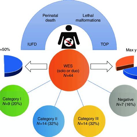 A Schematic Flow Of Translational Research Diagrams Show A Pipeline Download Scientific