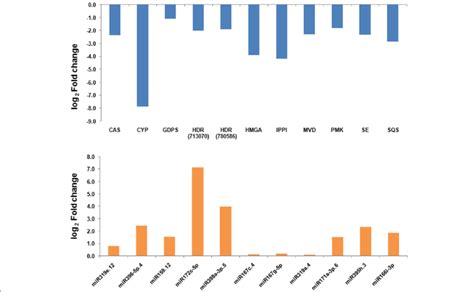 Relative Expression Analysis Of Selected Mirnas And Their Targets Download Scientific Diagram