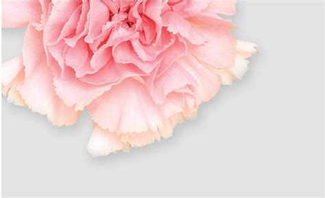 예배하는 가정 되게 하소서