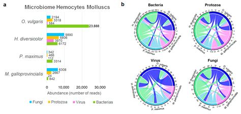 Exploring The Potential Of Metatranscriptomics To Describe Microbial Communities And Their