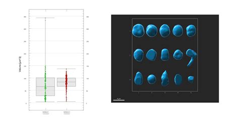 3d4d 可視化・解析ソフトウェア（imaris）｜ヤマト科学株式会社