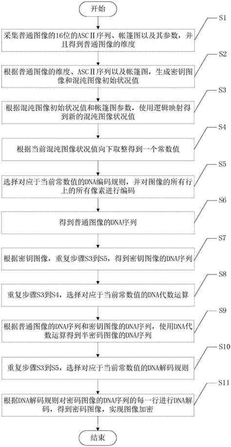 一种基于混沌帐篷映射与DNA译码的图像加密方法与流程