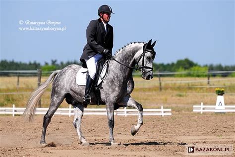 Bazakoni Pl Karta Konia Ogier Sex First Des Termes Sonia