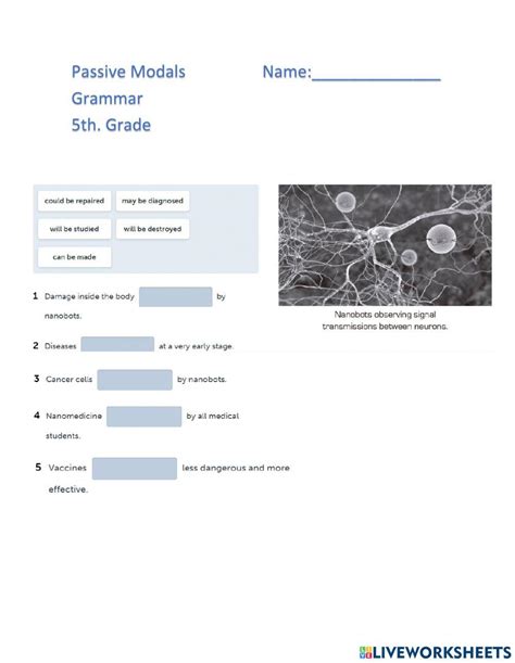 Passive Modals 5th Grade Online Exercise For Live Worksheets
