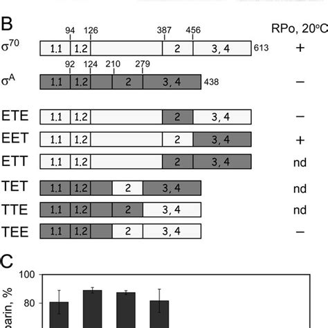 Heparin Challenge Of Promoter Complexes Formed By Taq Rnap Holoenzymes