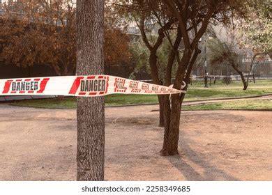 24 446 Tree Access Images Stock Photos Vectors Shutterstock