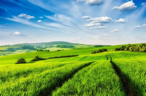 世界の緑の絶景9選♪「ミドリのセカイ」が大集結！ Like The World Magazine