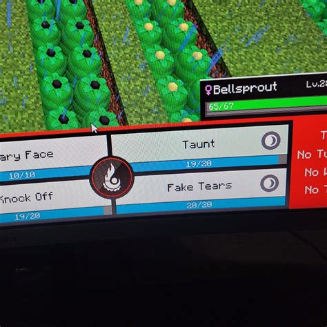 New To Pixelmon Looking For A Good Seed R Pixelmonmod