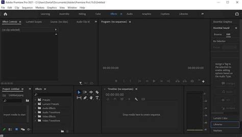 Guide With Pictures On How To Add Subtitles In Premiere Pro