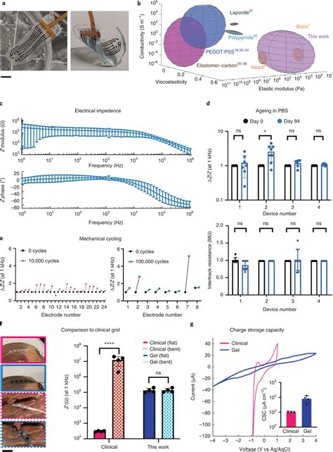 Device Characterization And In Vitro Validation Of The Fully