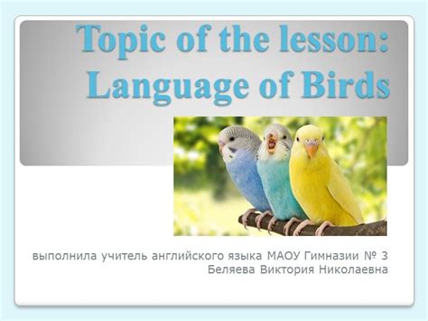 Презентация к уроку английского языка на тему Language Of Birds 7 класс