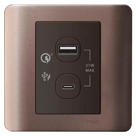 Buy 21W Type A Type C PDQC3 0 USB Charger Silver Bronze Schneider Electric Indonesia