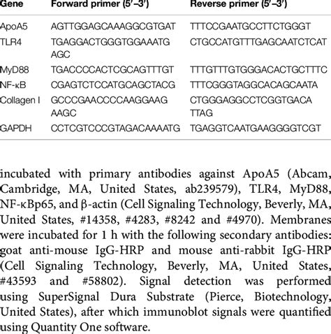 Primer Sequences Used For Qrt Pcr Download Scientific Diagram