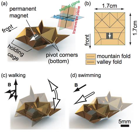 Tiny Origami Robot Runs Climbs Lifts Loads And Even Self Destructs Once Job Is Done