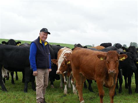 Grazing Management Exploring The Pros And Cons Of Various Grazing Systems