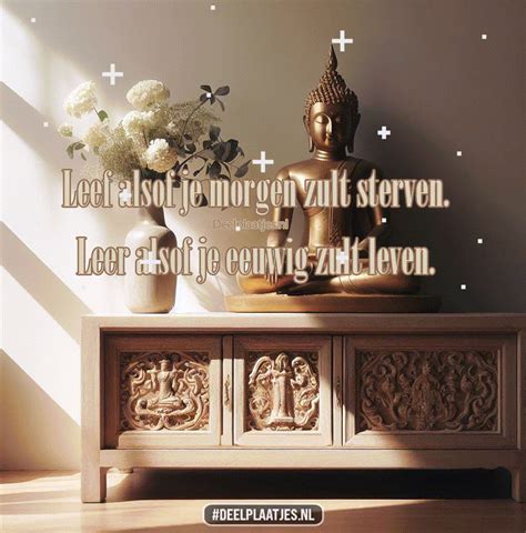 Plaatje Leef Alsof Je Morgen Zult Sterven Plaatjes Delen Met