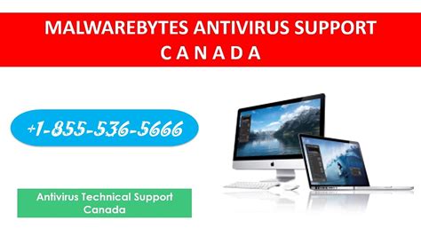 Why Contact Malwarebytes Customer Support For Resolution Of Antivirus Issues