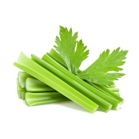 Apio Eco Huerta Del Perigall De La Huerta A Tu Mesa