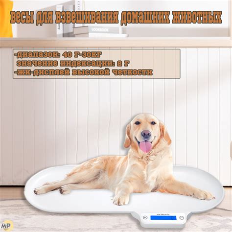 Умные весы для животных, подходящие для средних и крупных пород кошек и ...