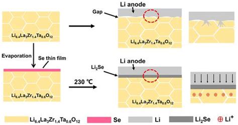 Li2se：抑制石榴石固体电解质中锂枝晶生长的高离子电导率界面 Li2se：抑制石榴石固体电解质中锂枝晶生长的高离子电导率界面 Acs Applied Materials