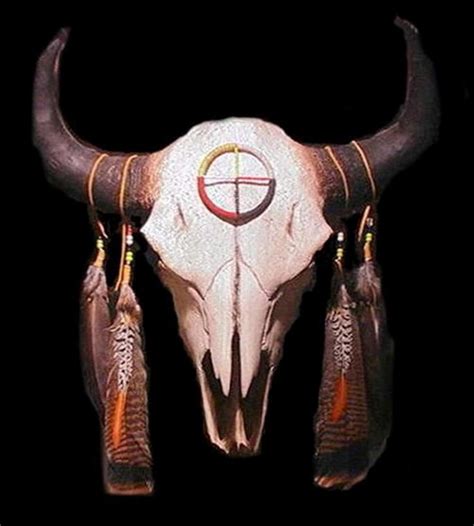 Pin By Maz Dave On American Native Indian Cow Skull Art Skull