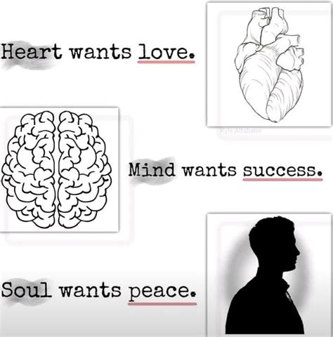 Here Are Testimonials Furqan Ahmed