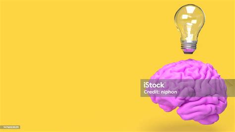 창의적 사고 또는 브레인스토밍 개념 3d 렌더링을 위한 두뇌와 전구 개념에 대한 스톡 사진 및 기타 이미지 개념 뇌 사색 Istock