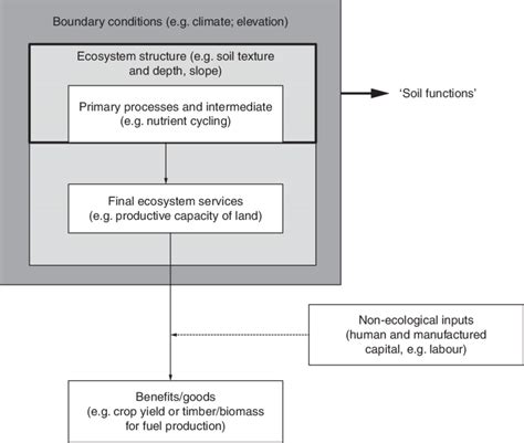 2 Conceptual Linkages Between Environmental Drivers Ecosystem Download Scientific Diagram