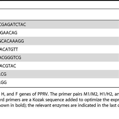 Schematic Diagram And Identification Of Recombinant Pfastbac Vectors Download Scientific