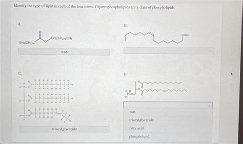 Solved Identify The Type Of Lipid In Each Of The Four Items Chegg