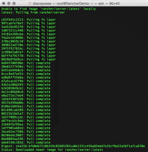 Rancher Part 1 Installing Rancher And Setting Access Control DiscoPosse Com