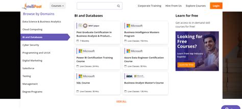 Intellipaat Software Solutions Review Honest Opinion 2024