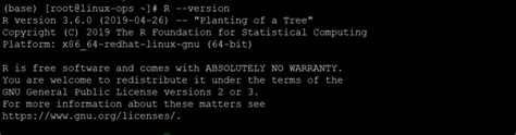 How To Install And Use R And RStudio In Linux VITUX