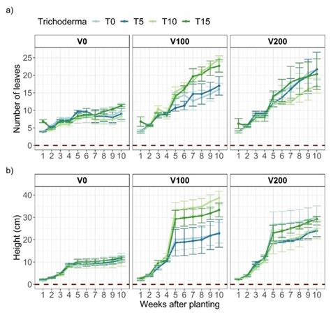 Height And Number Of Leaves On Trichoderma Sp Application At Various Download Scientific