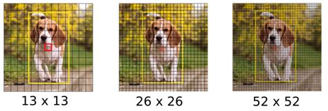 tutorial on implementing yolo v3 from scratch in pytorch 54 off
