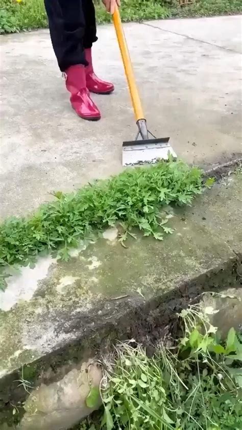 Прикольные идеи для дачи и сада 45 фото Дизайн небольшого сада Сад Украшения беседки