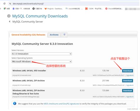 Mysql与navicat安装教程mysql和navicat安装 Csdn博客