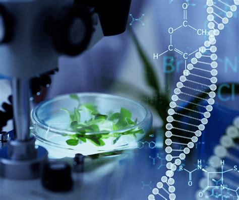 Biomedical Engineering Animation Medical 3d Scientific Animation Company