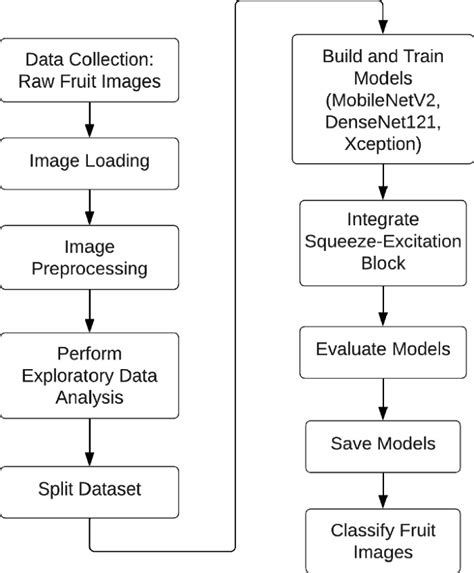 Enhancing Fruit And Vegetable Image Classification With Attention