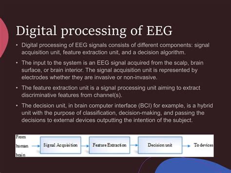 Eeg Signal Processing And Application To Neurofeedback Operant Conditioning Brain And