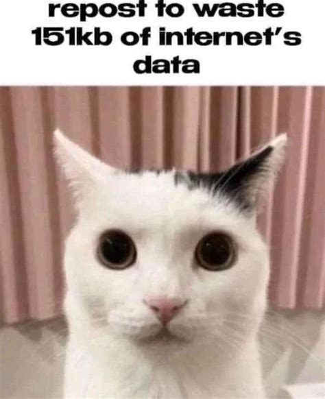 10000 Best Data Images On Pholder Star Trek TNG Programmer Humor And 196